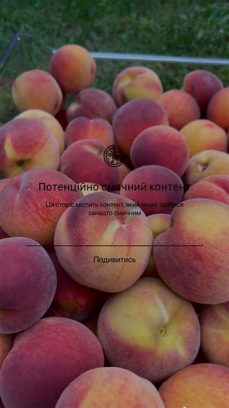 Урожай персиков 🍑