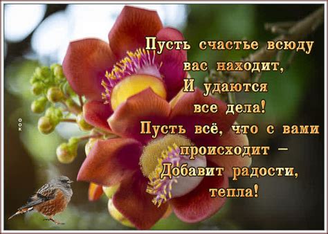 Картинки с Пожеланиями | ТОП Картинки