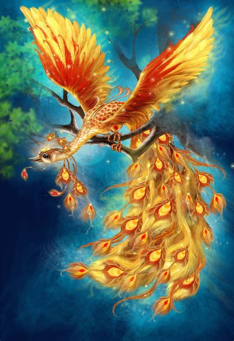 Pin de Leticia Hoyos en picture | Ave fenix dibujo, Fenix dibujo, Ave fenix