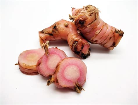 galangal or alpinia galanga isolated in white background 22123520 Stock ...