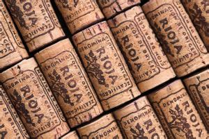 What are Tempranillo Wines: A Comprehensive Guide to Spain's Signature ...