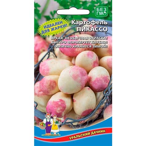 Купить Картофель Пикассо недорого по цене 26руб.|Garden-zoo.ru