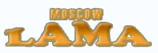 Продвижение и разработка сайтов в Новосибирске | Акцептсиб