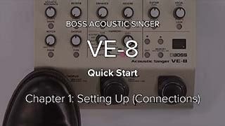 BOSS - VE-8 | Acoustic Singer
