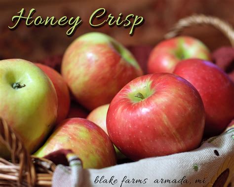 Easy Recipe: Tasty Are Honeycrisp Apples Healthy - Prudent Penny Pincher