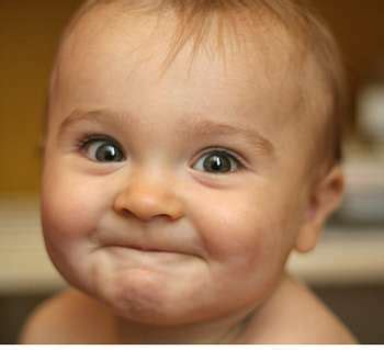 Tout savoir sur les bébés