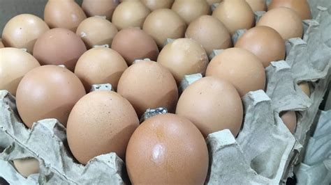 Удар по яйцам. Нижегородцы шокированы ценниками — Новости Нижнего ...