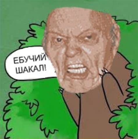 10 Шакалов Из 10 - HD фотoграфии