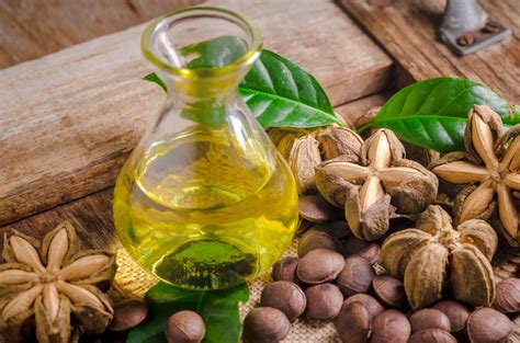 ARIAN Sacha Inchi Oil, For Cosmetic, 5 Kgs at ₹ 2350/kg in New Delhi ...
