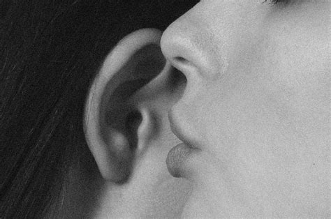 Pure Sense :: Behance