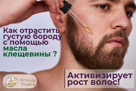 Касторовое масло для бороды: на самом ли деле помогает для роста, как ...