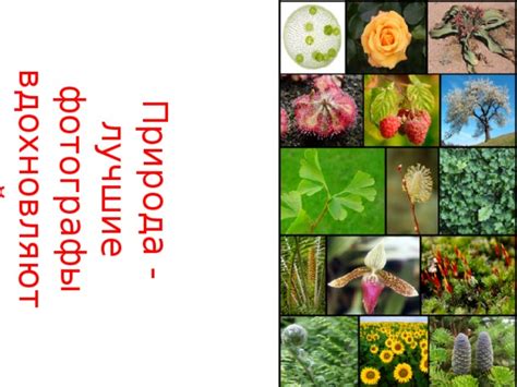 Фотофиксация промышленного изделия