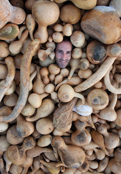 דלארט - עולם של דלעות נוי
