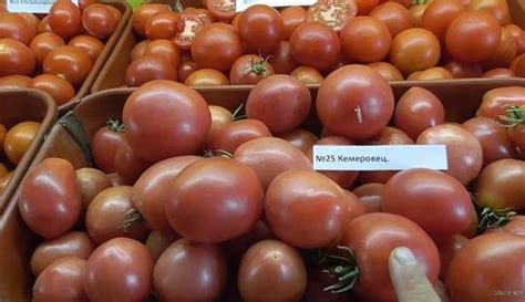 Томат Кемеровец: описание сорта, отзывы, фото, характеристика