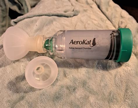 Se produkter som liknar AeroKat inhalator för katt på Tradera (586010145)