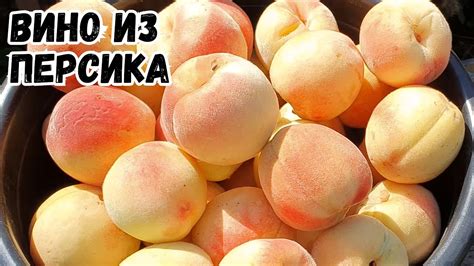 Вино из персика. Часть 1. - YouTube
