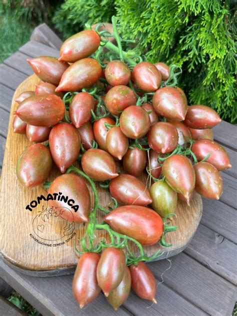 Конфеты сладкие сосульки (Candy Sweet Icicle) – Tomatinсa.ru