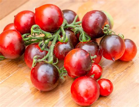 СИНИЙ КОМНАТНЫЙ Blaue Zimmertomate — BTomate