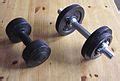 Dumbbell - Wikimedia Commons