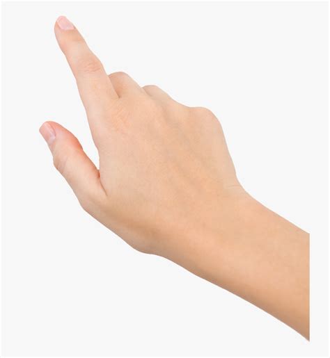 Женская Рука Фото, HD Png Download , Transparent Png Image - PNGitem
