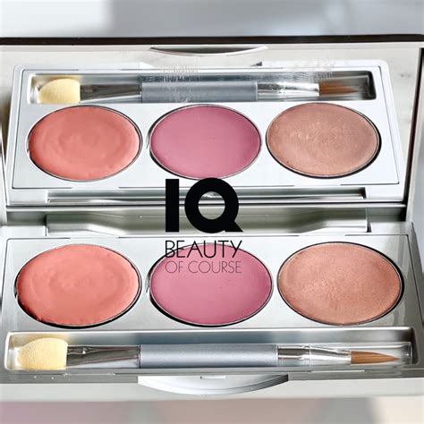 IQ Beauty Glide & Glow Cheek Palette - IQ Beauty of Course