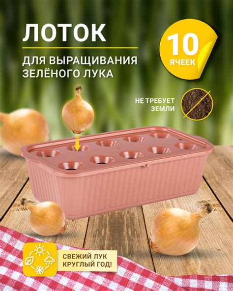 Набор для выращивания, Лук купить по выгодной цене в интернет-магазине ...