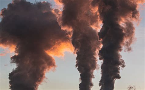 EU institutions at risk of strengthening the net-zero smokescreen in ...