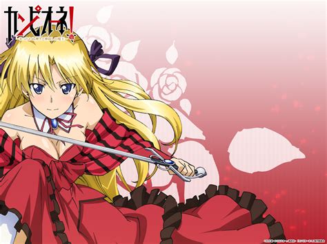 Download Erica Blandelli Anime Campione! HD Wallpaper