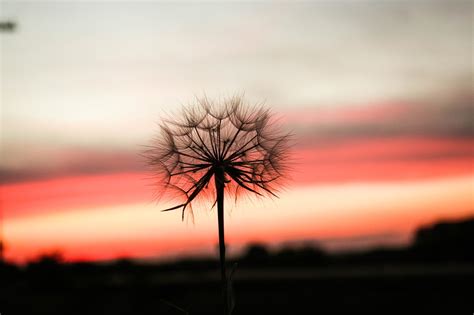 The Key to a Dream...: Бохо-брошки...