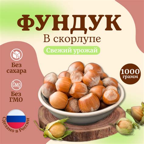 Фундук в скорлупе, лесной орех, 1000 грамм - купить с доставкой по ...