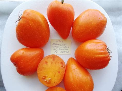 2342 - German orange strawberry \ Немецкая Оранжевая Клубника | Tomatoeden