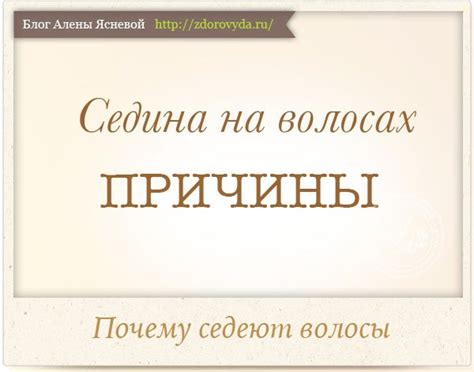 Седые волосы. Как избавиться, убрать седину навсегда без окрашивания ...