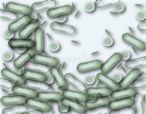 Bakterier Stock Illustrationer, Vektorer, & Clipart – (177,925 Stock ...
