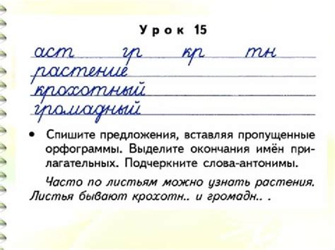 Чистописание в 4 классе