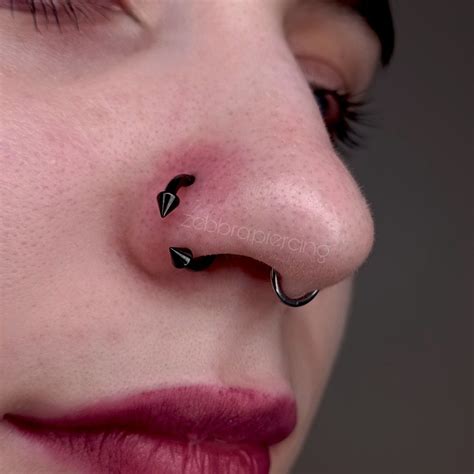 Fresh septum piercing and healed nostril piercing with titanium jewelry ...