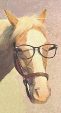 Mister Ed (Character) - Comic Vine