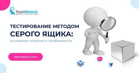 Тестирование методом серого ящика: основные понятия и особенности in ...