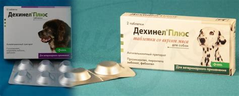 Дехинел Плюс для собак - инструкция по применению, отзывы, цена | «Дай ...