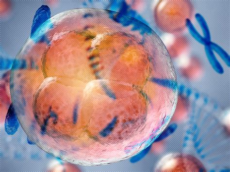 Американские генетики изобрели новый способ борьбы с раком: читать на ...