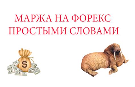 Маржа на форекс: расчет на примере