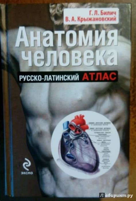 Книга: Анатомия человека. Русско-латинский атлас - Билич, Зигалова ...