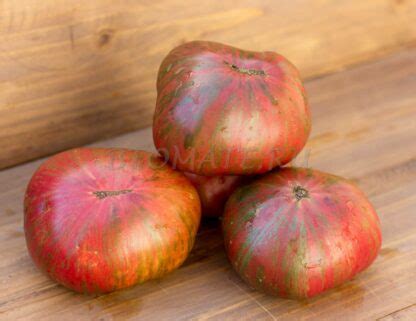 МАЛИНОВАЯ НЕРКА Dwarf Crimson Sockeye — BTomate