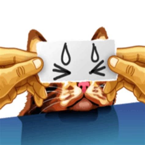 Набор стикеров для Telegram «Кот Мем»