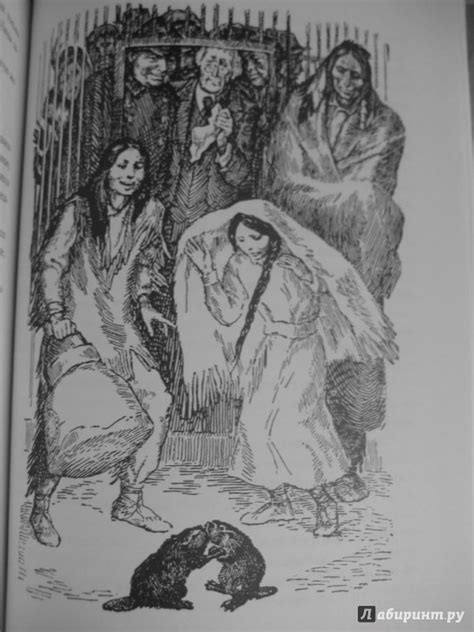 Книга: Саджо и ее бобры - Сова Серая. Купить книгу, читать рецензии ...