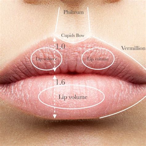 Let’s Talk Lips: Your Guide to a Fuller Pout