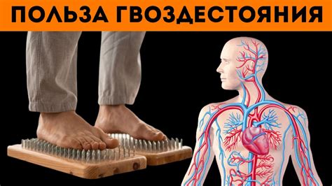 Час стойки на гвоздях, и все БОЛЕЗНИ уйдут - YouTube