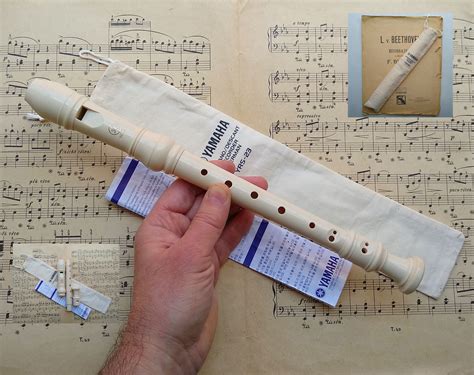Blokfluit Yamaha Yrs-23 | informacionpublica.svet.gob.gt
