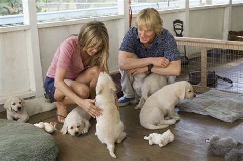 Кадр N2665 из фильма Марли и я / Marley & Me (2008)