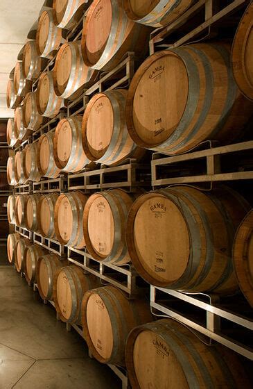 Frescobaldi - Rèmole: Authentic rosé, red and white wines | Frescobaldi