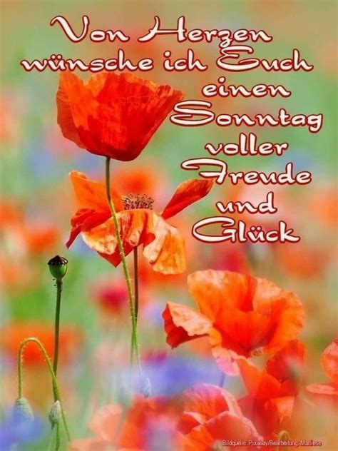 Pin on Schön Sonntag | Happy sunday, Happy, Pins